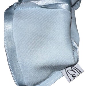 Robert Tonner Rare Emme Plus Sized Model Fashion Doll Blue Lace Teddy ...