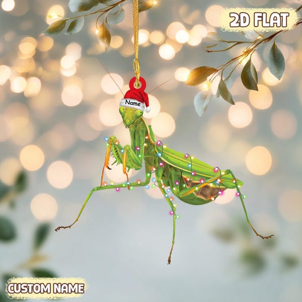 Bug Cookies Home Decor - Etsy