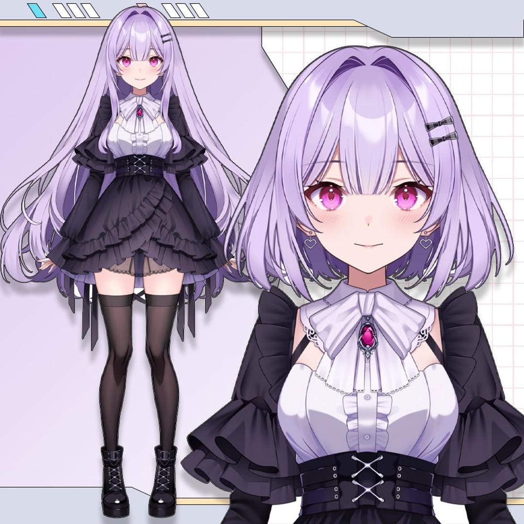 Premade Vtuber Model: Ready to Use Live2d Vtube Studio Design - Etsy