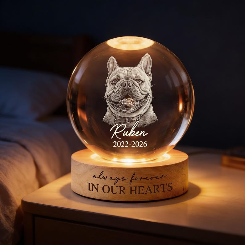 Personalized Pet Memorial Night Light, Custom Pet Portrait Crystal Ball ...