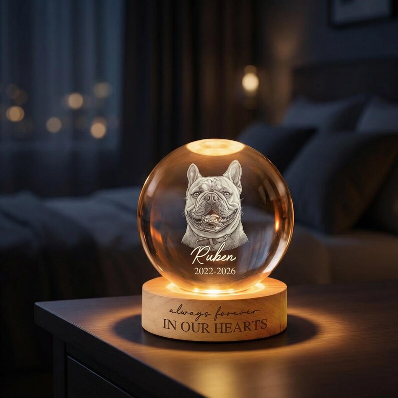 Personalized Pet Memorial Night Light, Custom Pet Portrait Crystal Ball ...