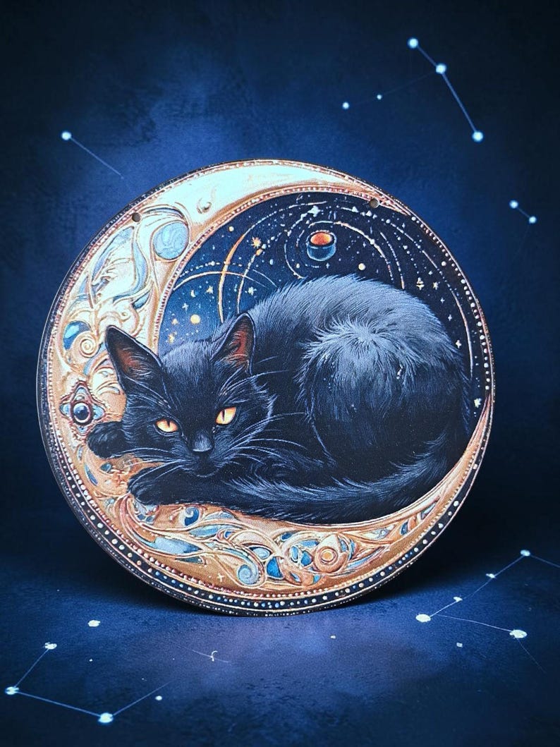 Celestial Black Cat Moon Aluminum Sign, Witchy Cottagecore Decor (8 ...