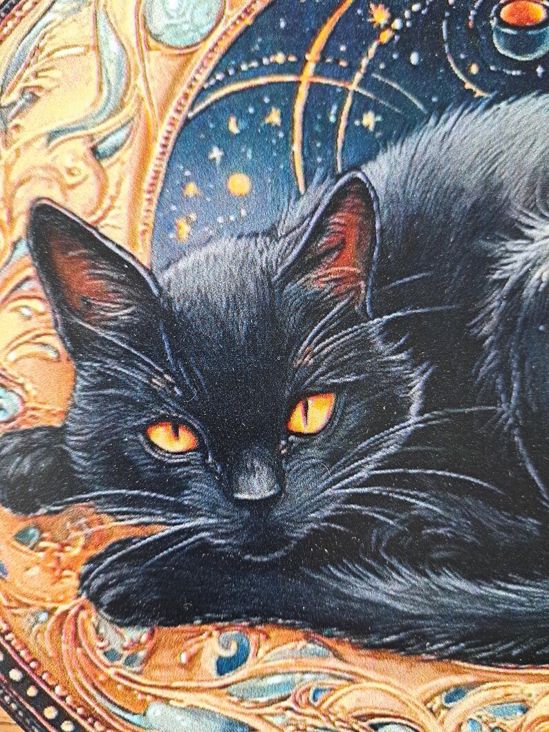 Celestial Black Cat Moon Aluminum Sign, Witchy Cottagecore Decor (8 ...