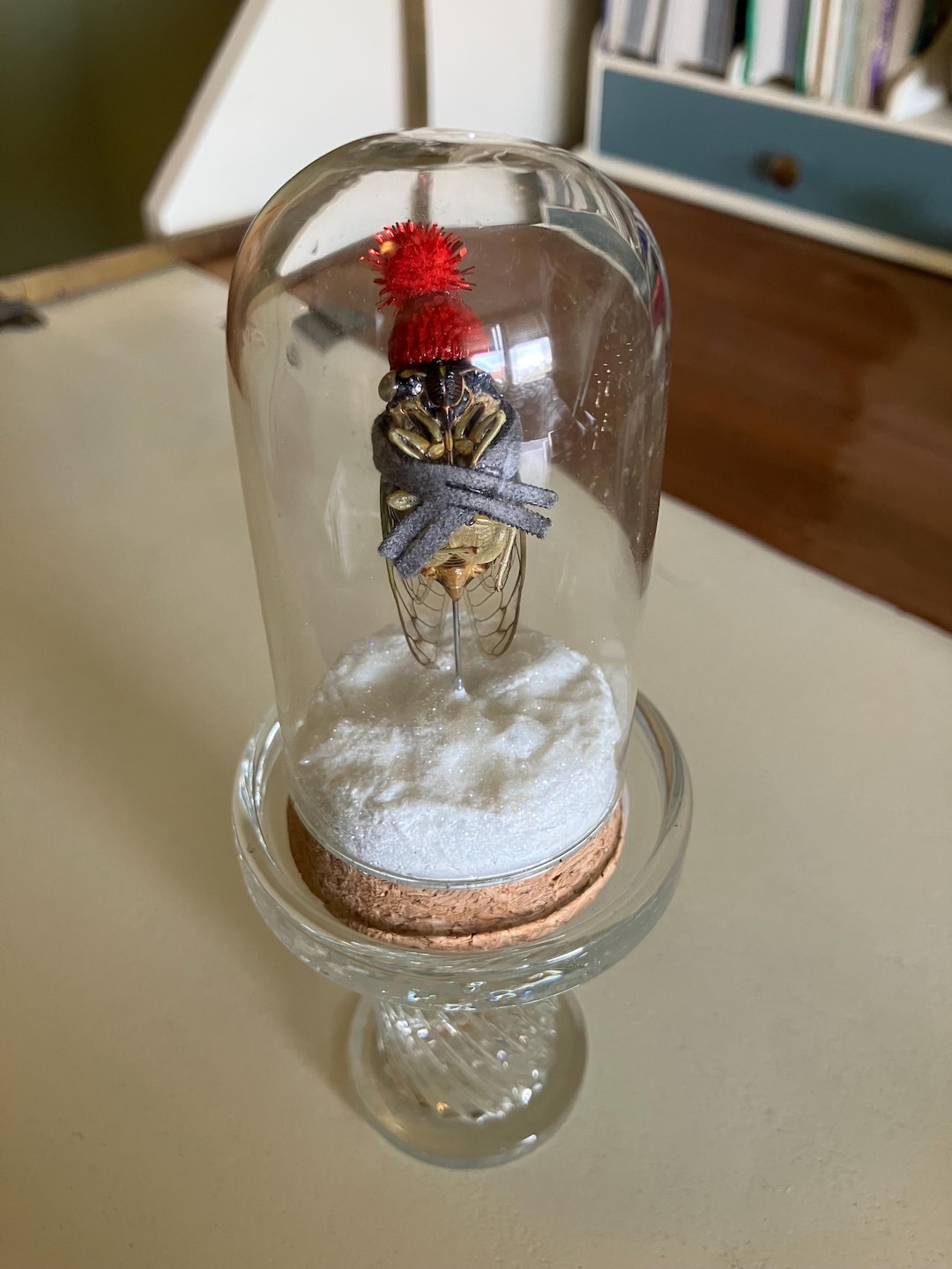 Winter Cicada in Snow Globe: Acorn Hat and Scarf - Etsy