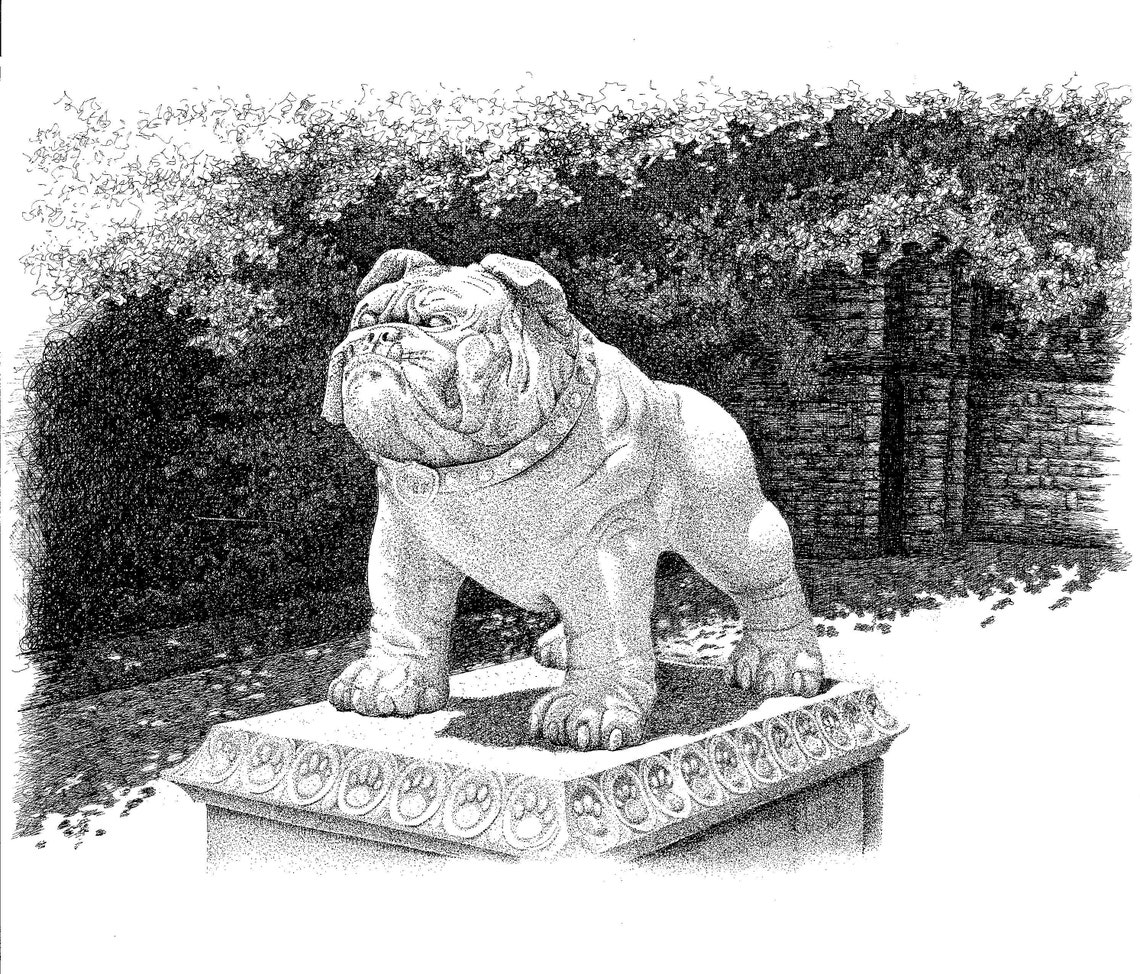 Butler Note Cards - Etsy