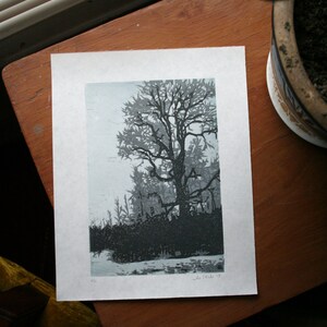 Winter Tree hand Pulled, Limited Edition - Etsy