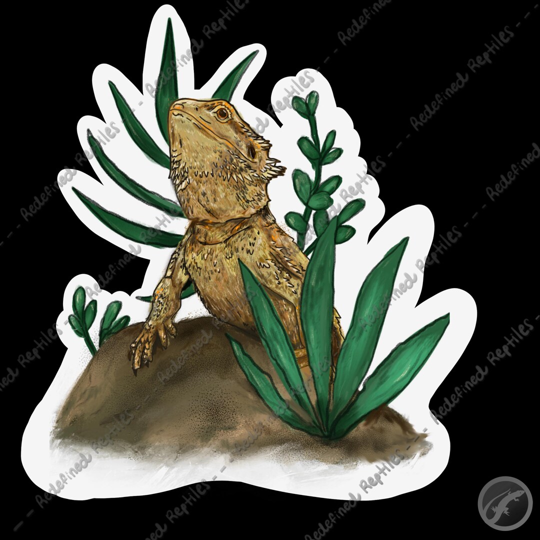 Bearded Dragon Sticker - Semi-arid Desert Reptile Decal - Glossy Vinyl ...