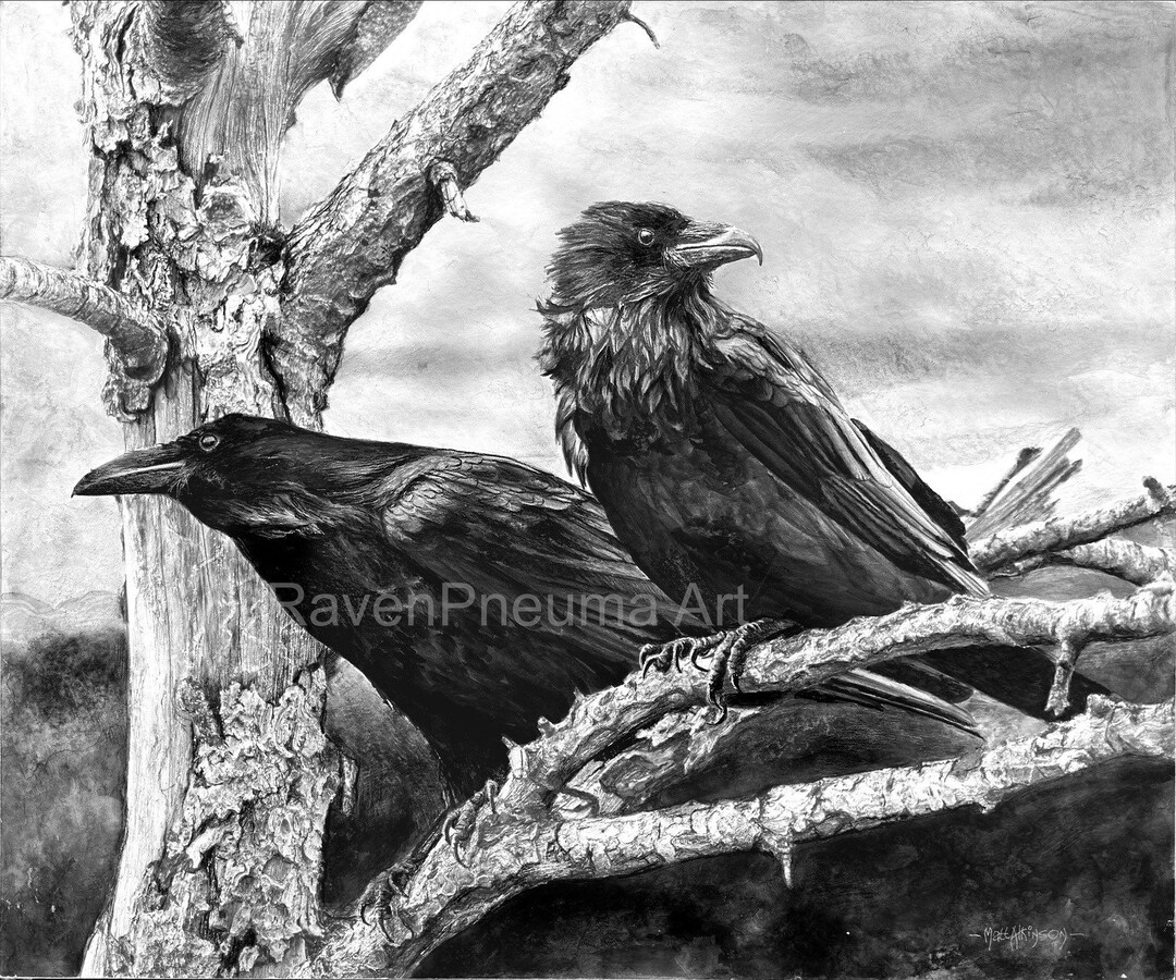Drawing Print, “two Ravens”, on Fine Art Paper - Etsy