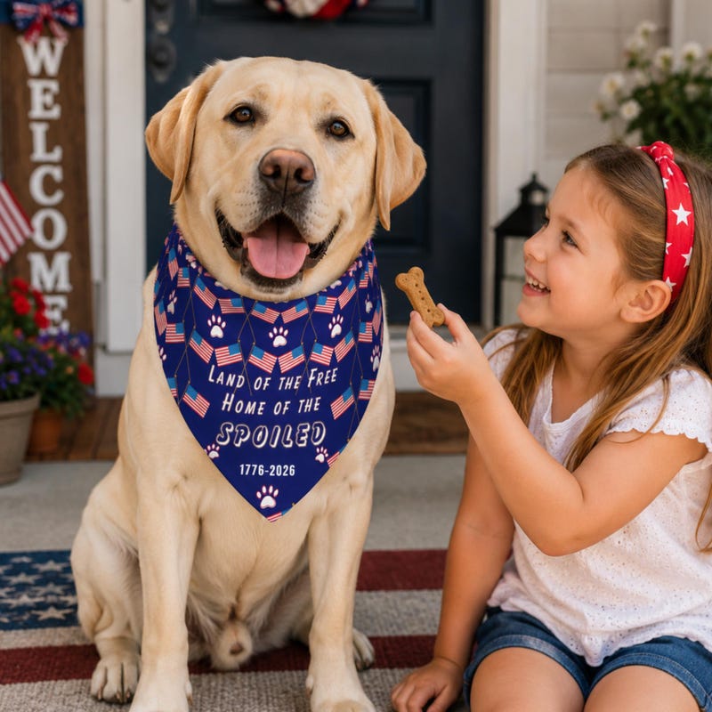 Usa 250 Dog Bandana - Etsy