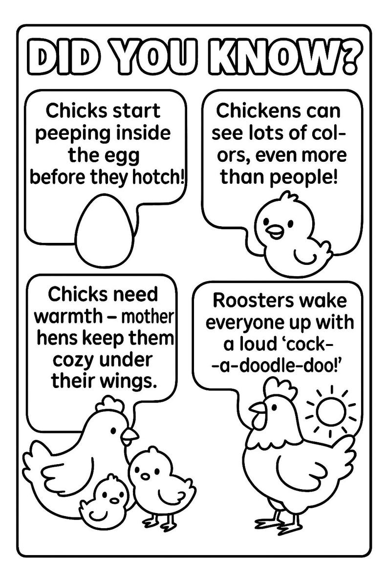 Chicken Life Cycle Diagram: Educational Worksheet + Glossary (PDF) - Etsy
