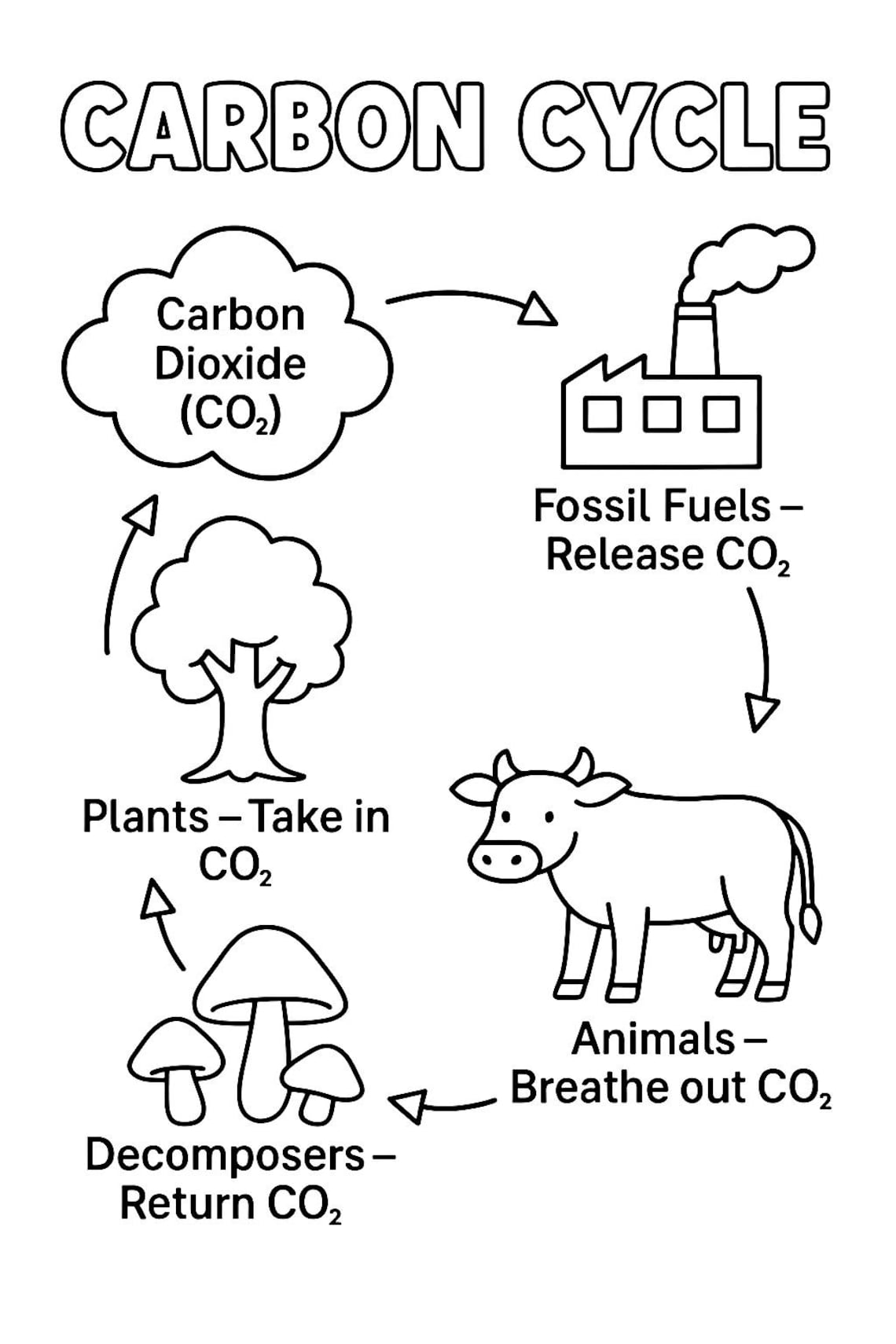 Carbon Cycle Coloring Page: Science Worksheet for Kids (PDF Download ...