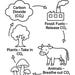 Carbon Cycle Coloring Page: Science Worksheet for Kids (PDF Download ...