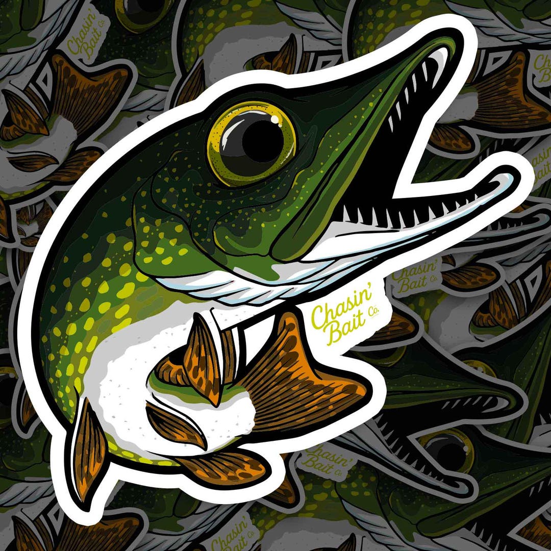 Northern Pike Fish Vinyl Sticker | Hand-drawn Art Waterproof Decal ...