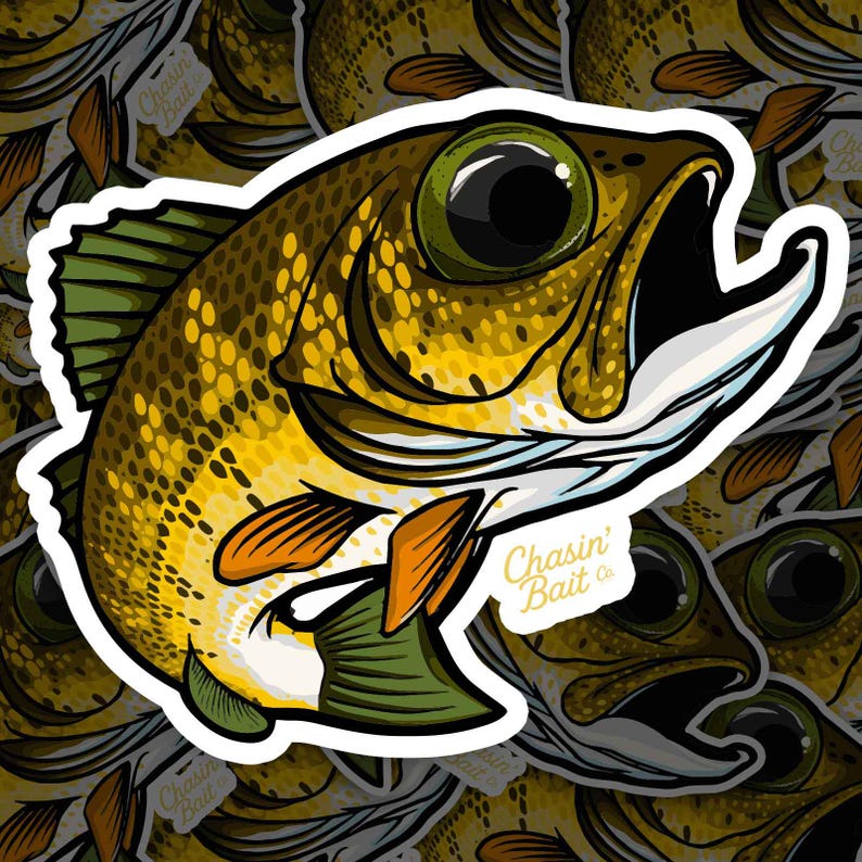 Walleye Fish Vinyl Sticker | Hand-drawn Art Waterproof Decal | Gifts ...