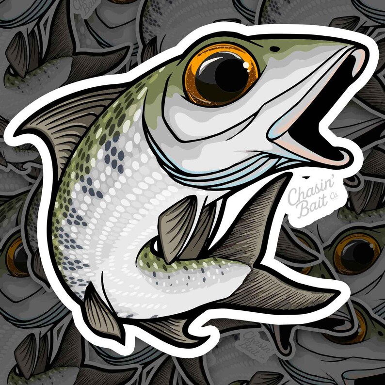 Bonefish Fish Vinyl Sticker | Hand-drawn Art Waterproof Decal | Gifts ...