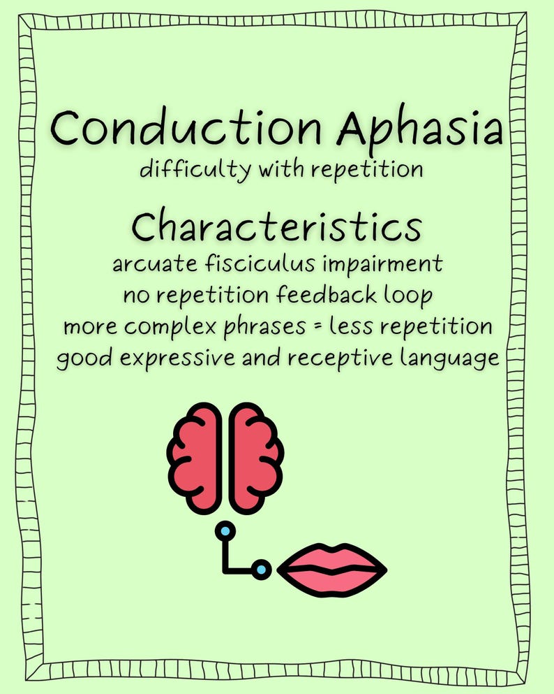 Speech Therapy Five Types of Aphasia Poster Set - Pastel Colors - Etsy