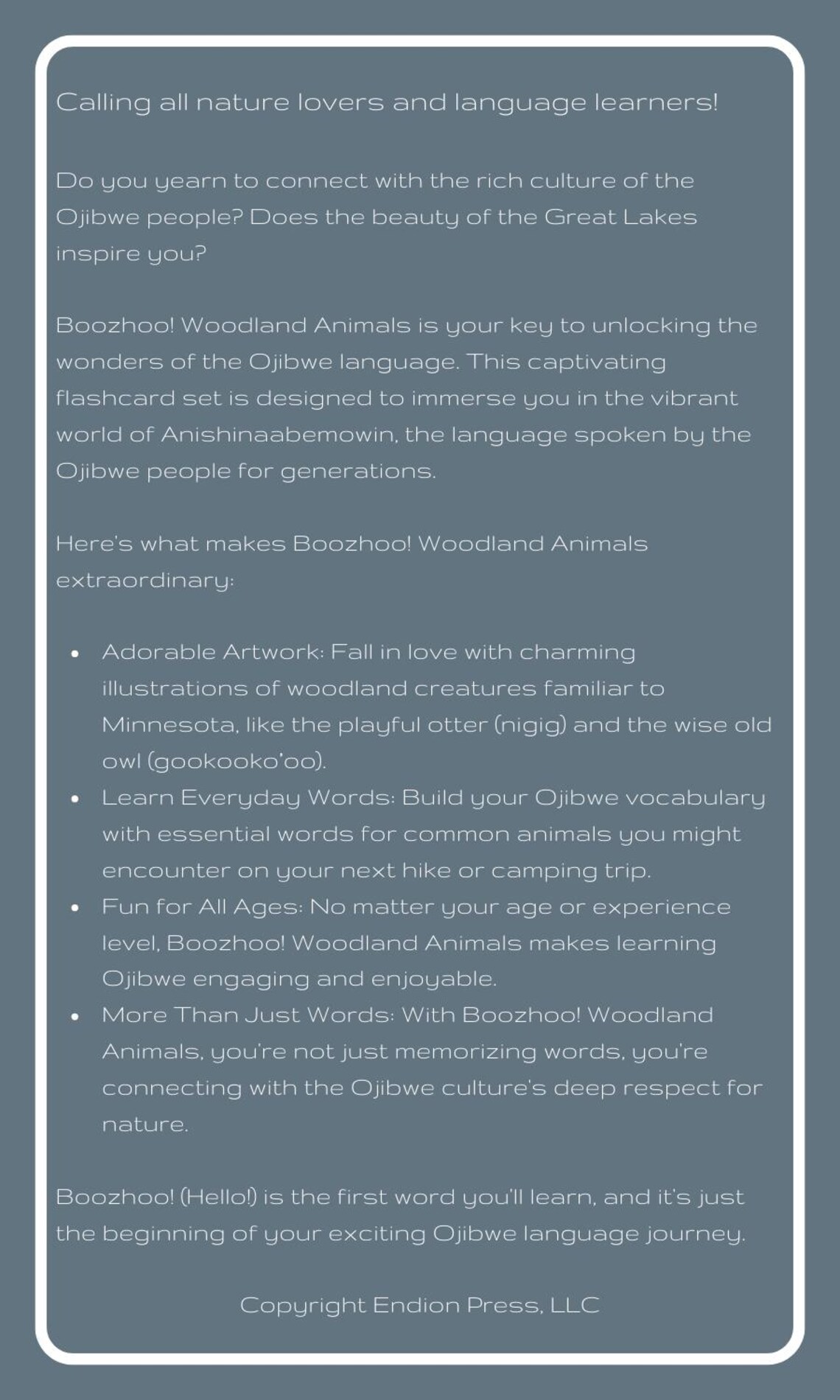 Boozhoo! Woodland Animals Ojibwe / English Learning Flash Card Set ...
