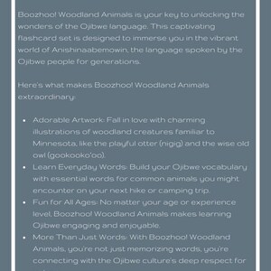 Boozhoo! Woodland Animals Ojibwe / English Learning Flash Card Set ...