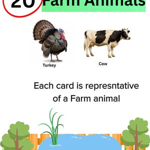 18 Farm Animal Flash Cards | Montessori Learning Cards | Real Picture ...