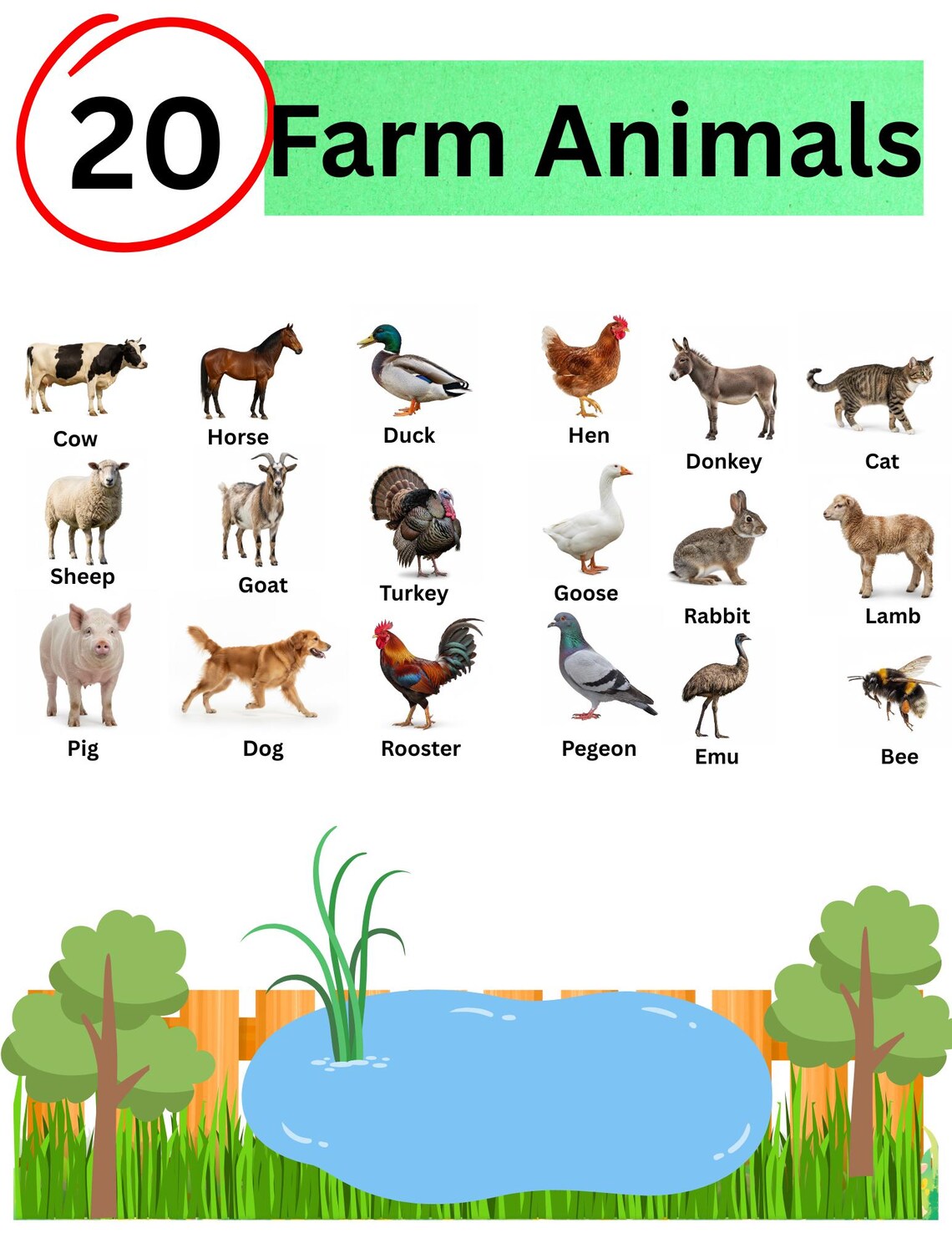 18 Farm Animal Flash Cards | Montessori Learning Cards | Real Picture ...