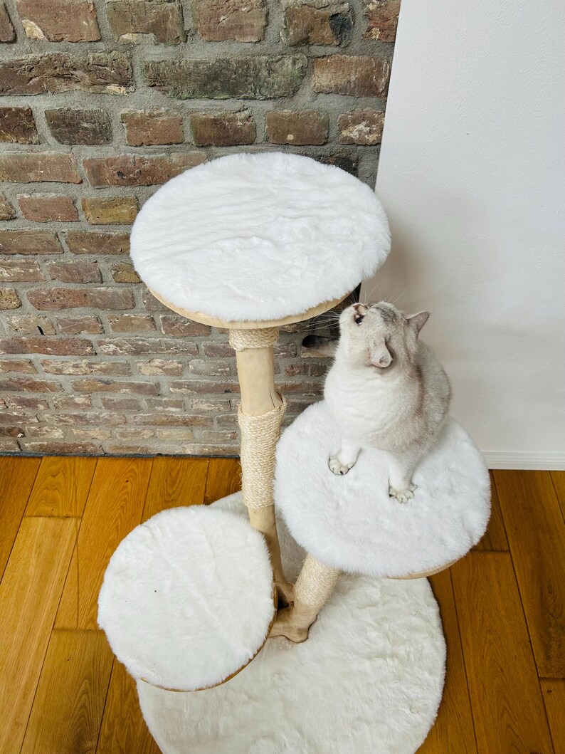 Luxury Cat Tree “lili” – Handmade From Real Wood | Modern Natural Cat ...