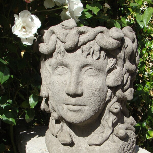 Medusa Head Planter - Etsy