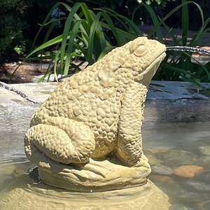 VINTAGE TOAD SPITTER (8 Color Options): Solid Stone Frog Statue ...