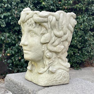 MEDUSA HEAD PLANTER (4 Color Option): Durable Solid Stone Face Bust Pot ...