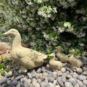 VINTAGE BABY DUCKLING (4 Color Options): Solid Stone W/ Aged Texture ...