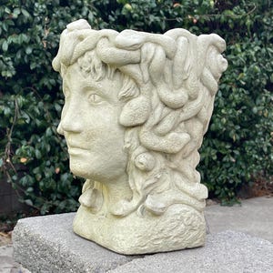 MEDUSA HEAD PLANTER (4 Color Option): Durable Stone Flower Pot Bust ...