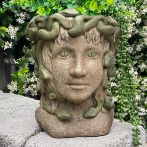 MEDUSA HEAD PLANTER (4 Color Option): Durable Stone Flower Pot Bust ...