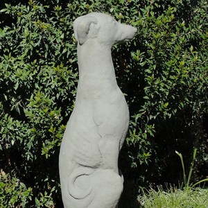 VINTAGE GREYHOUND STATUE (4 Color Options): Solid Quality Durable Stone ...