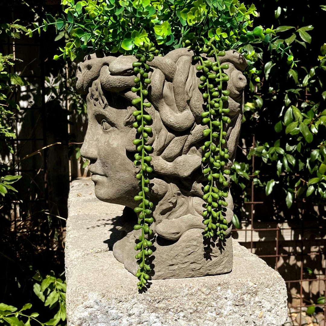 MEDUSA HEAD PLANTER (4 Color Option): Durable Stone Flower Pot Bust ...
