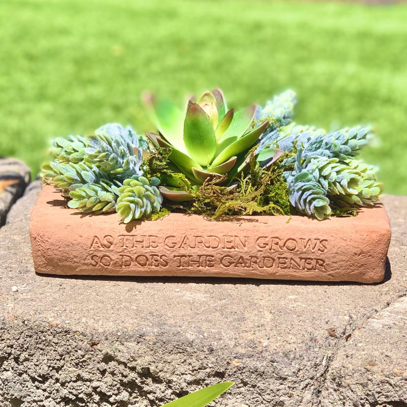 Book Planter - Etsy