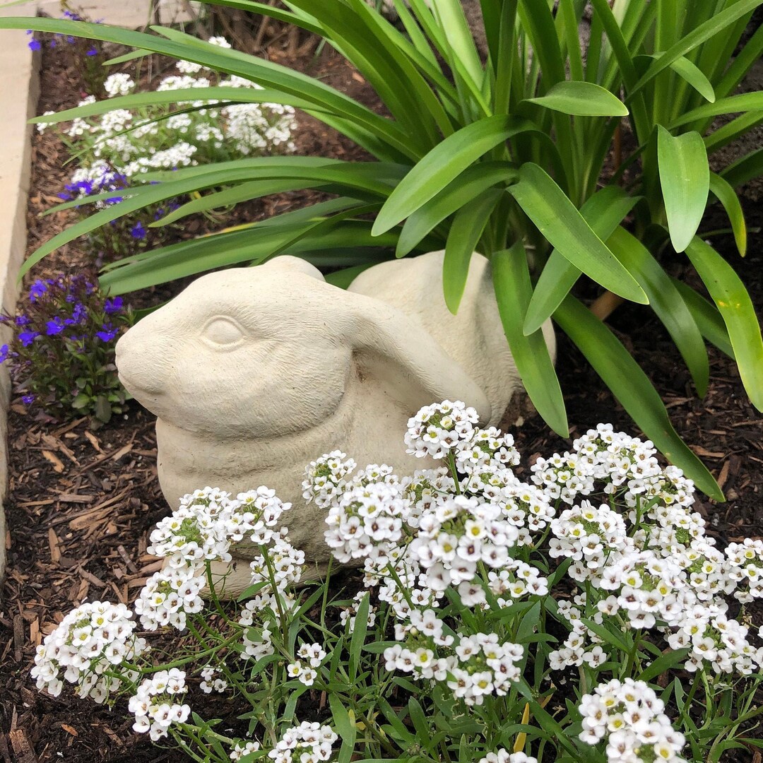 VINTAGE GARDEN RABBIT (4 Color Options): Life-size Solid Stone Statue ...