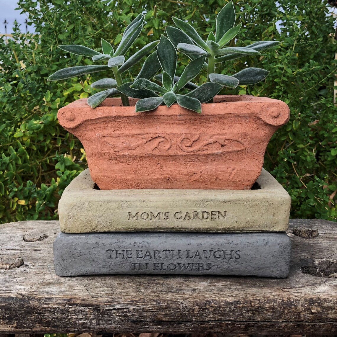 LIBRARY PLANTER title & Color Options: Solid Stone Book - Etsy