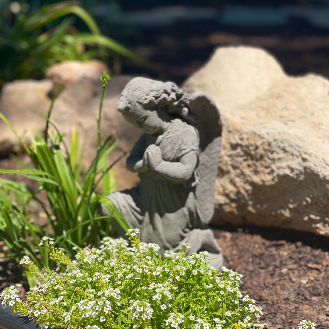 VINTAGE PRAYING ANGEL (4 Color Options): Solid Durable Stone Statue ...
