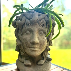 MEDUSA HEAD PLANTER (4 Color Option): Durable Solid Stone Face Bust Pot ...