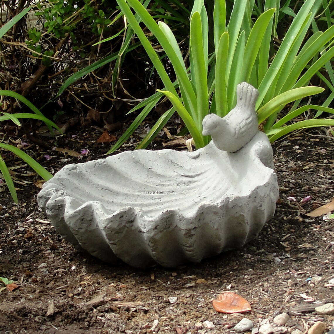 BIRD on SHELL BIRDFEEDER 4 Color Options: High Quality Solid - Etsy