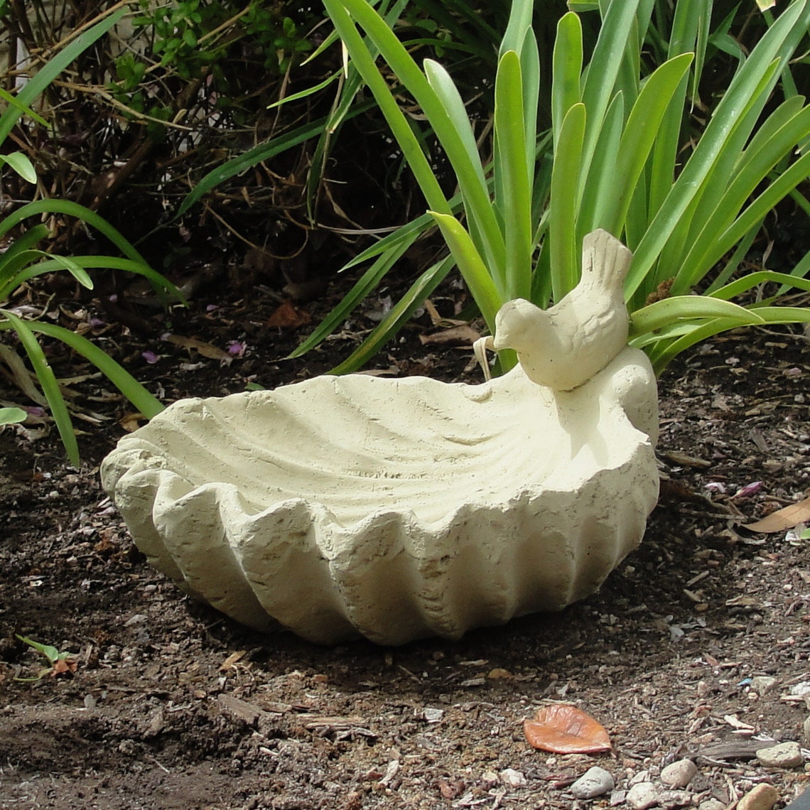 BIRD on SHELL BIRDFEEDER 4 Color Options: High Quality Solid - Etsy