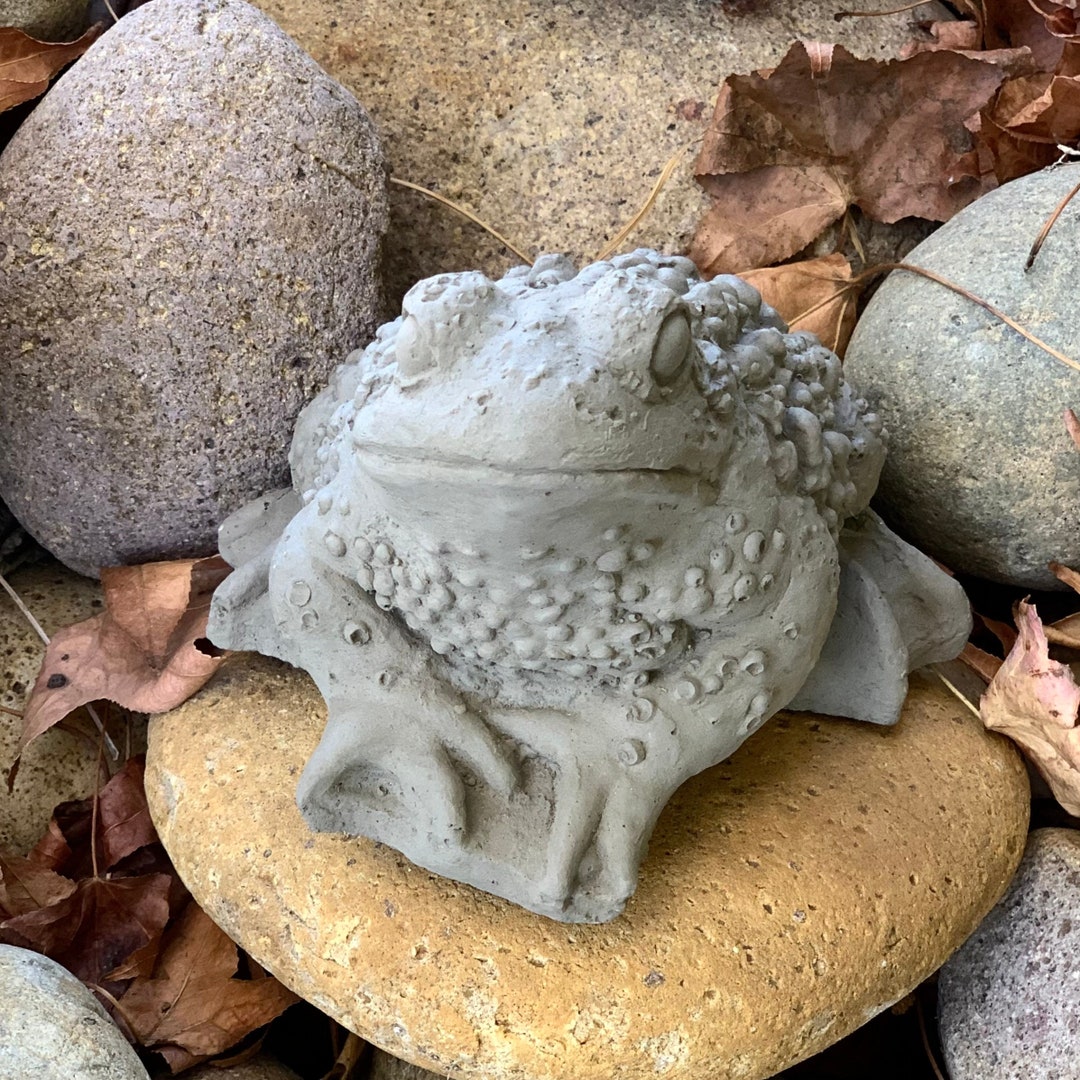 VINTAGE WARTY TOAD (4 Color Options): Durable Solid Stone Statue W ...