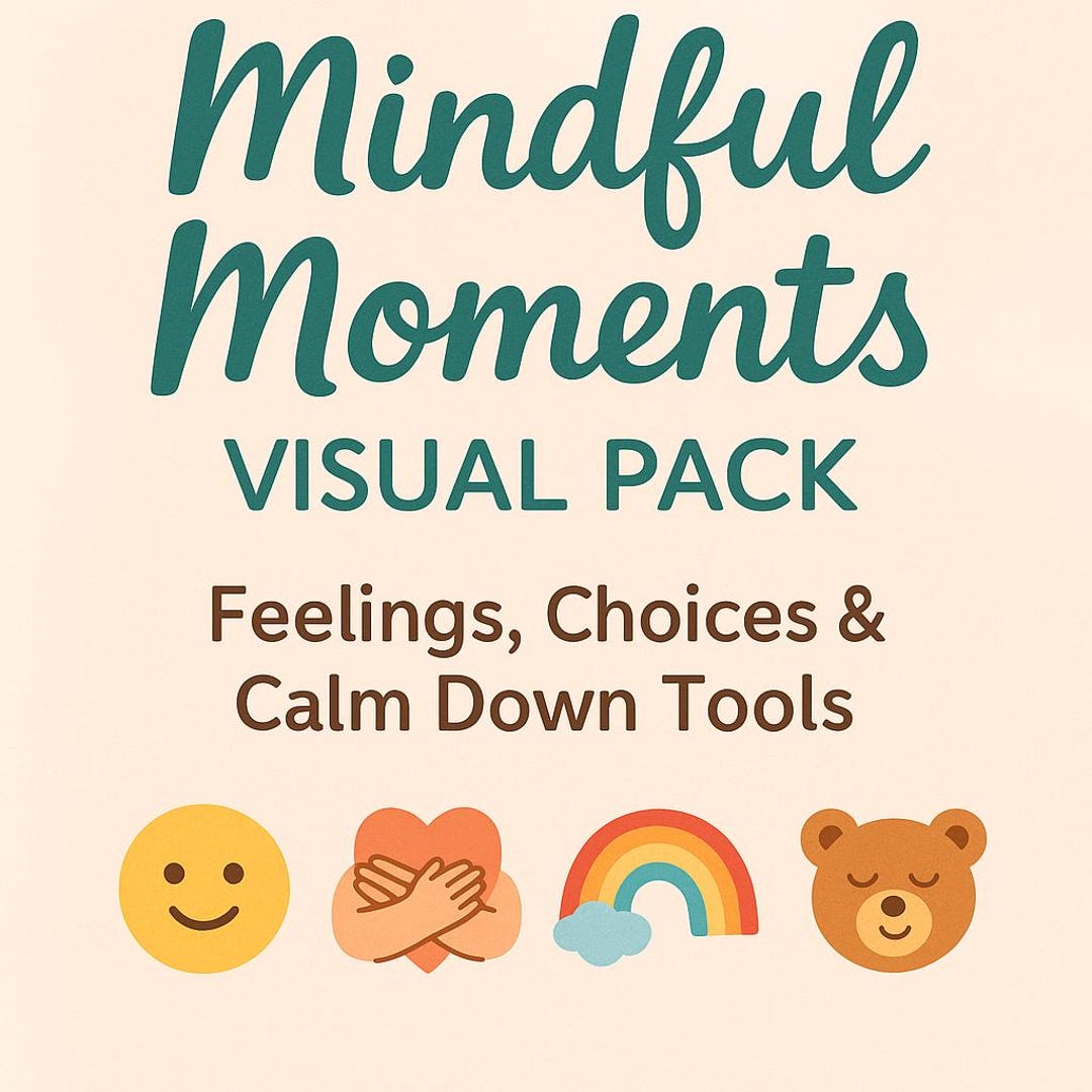 Mindful Moments Visual Pack: Feelings, Choices, and Calm Down Tools - Etsy