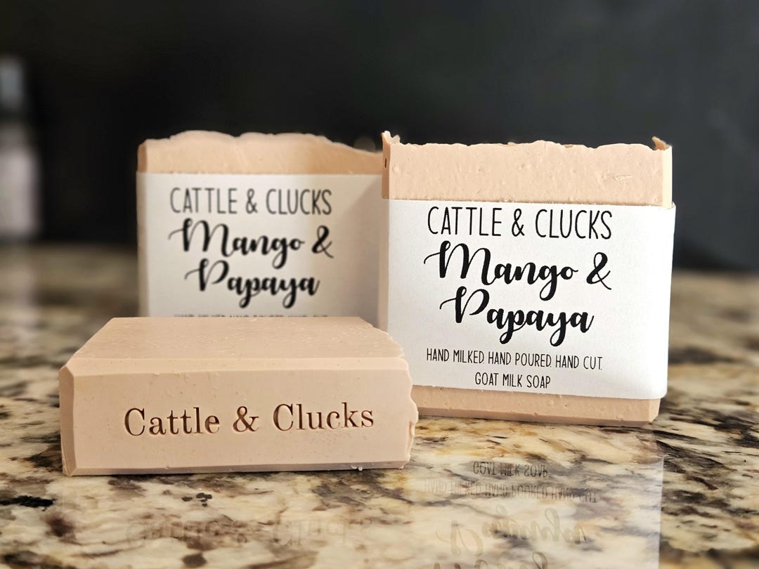Mango & Papaya | Goat Milk Soap Bar - Etsy