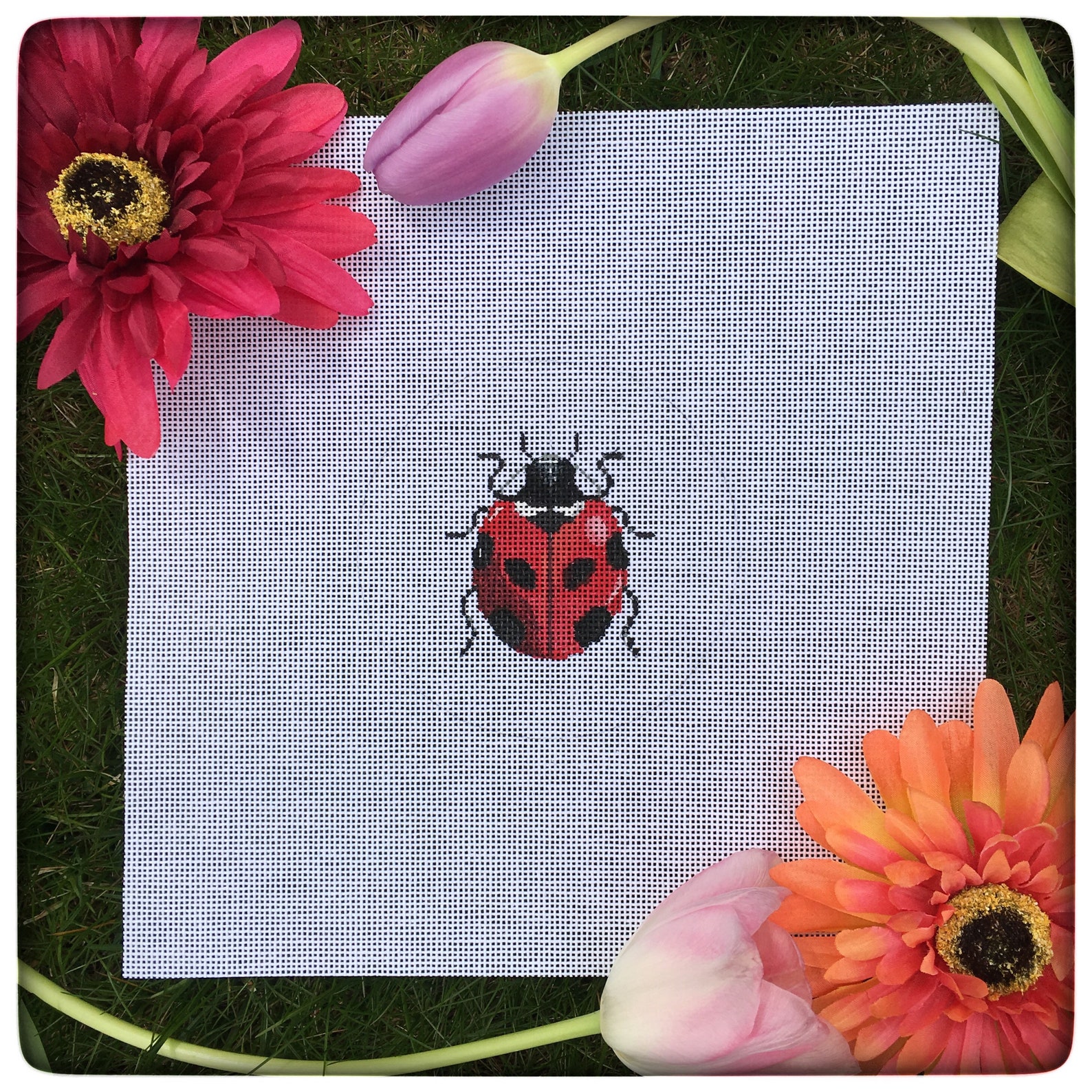 Hand Painted Ladybug Canvas by Mypinksugarlife - Etsy