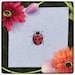 Hand Painted Ladybug Canvas by Mypinksugarlife - Etsy