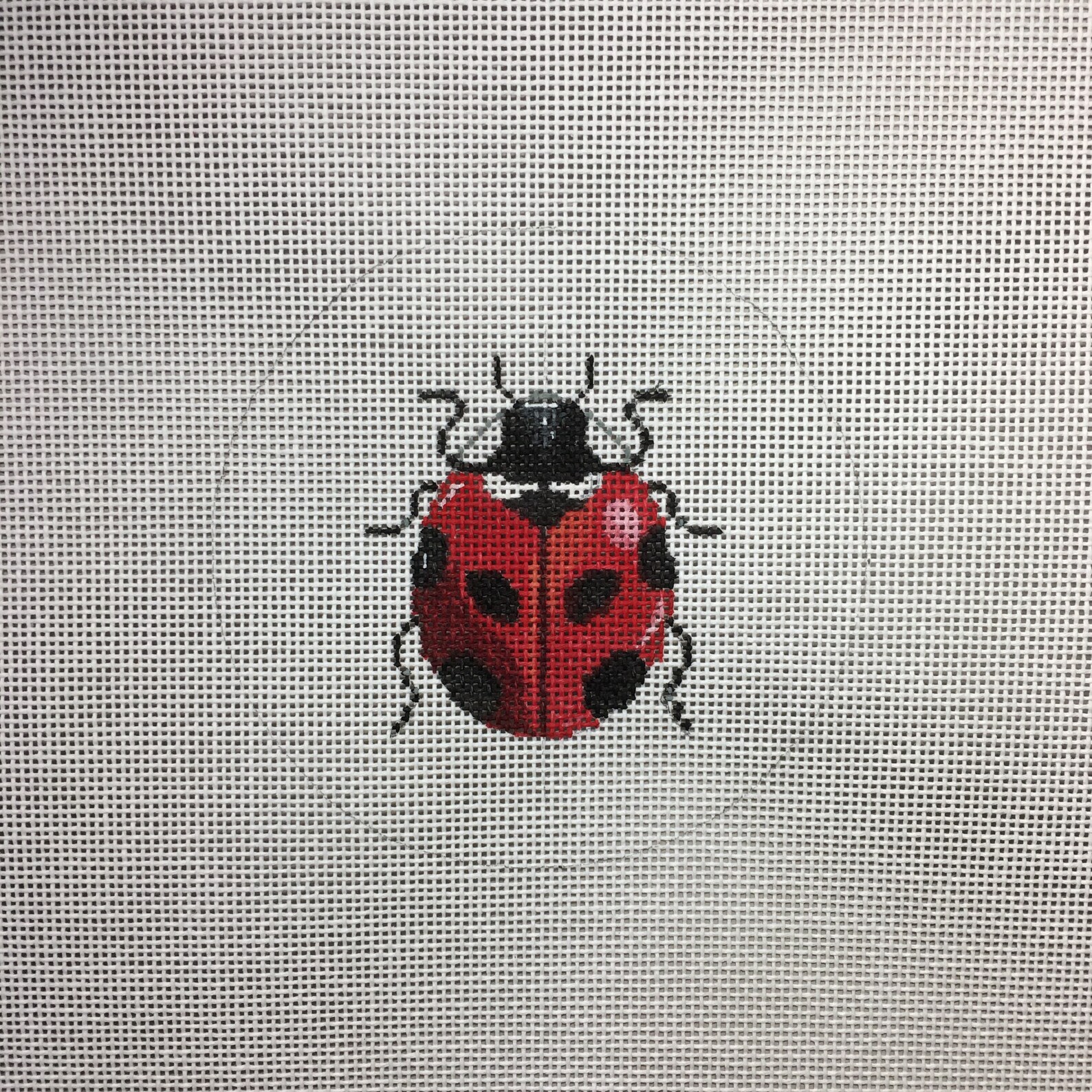 Hand Painted Ladybug Canvas by Mypinksugarlife - Etsy