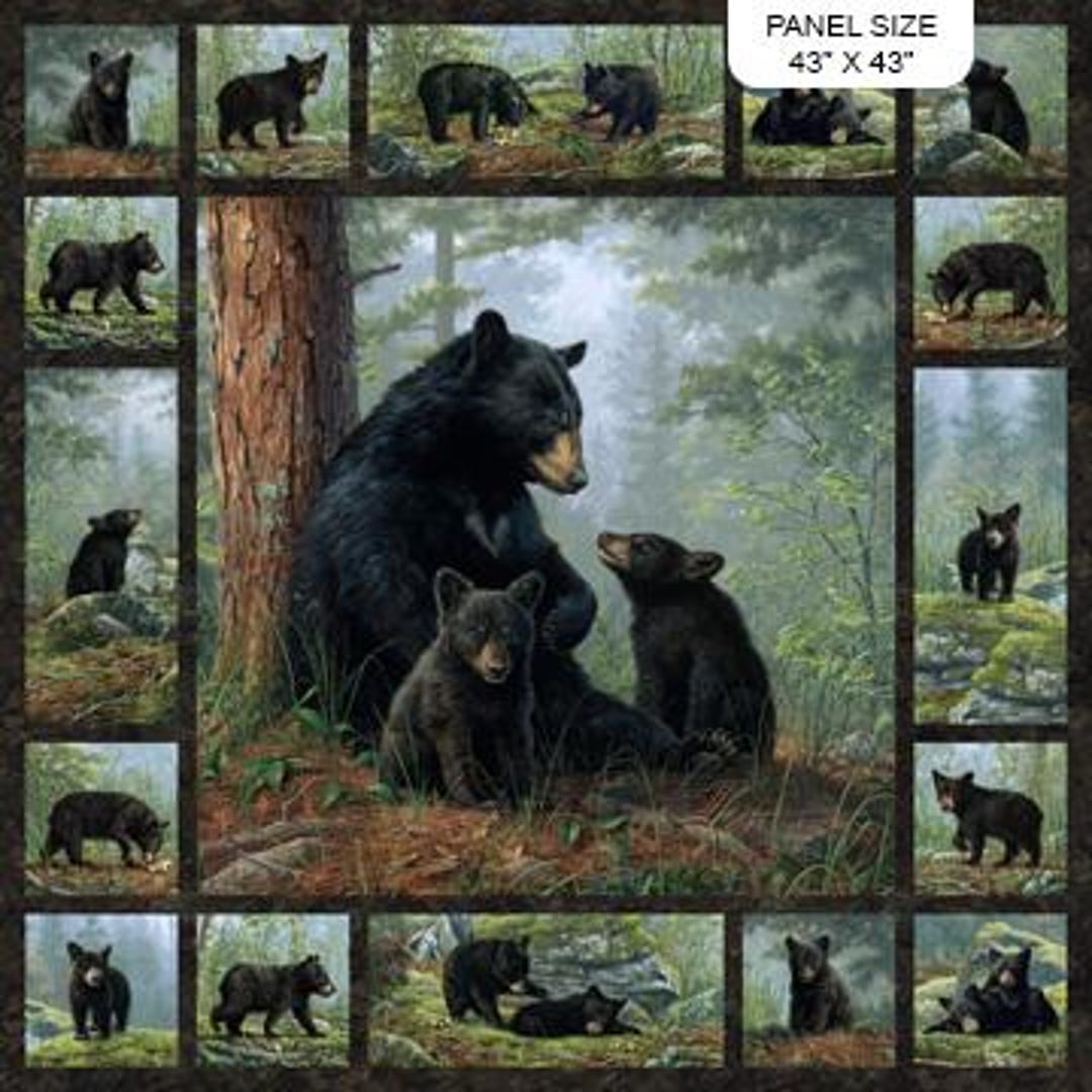 Northcott Bear's Den Bear Panel 43x43 Quilting Cotton Fabric Black ...