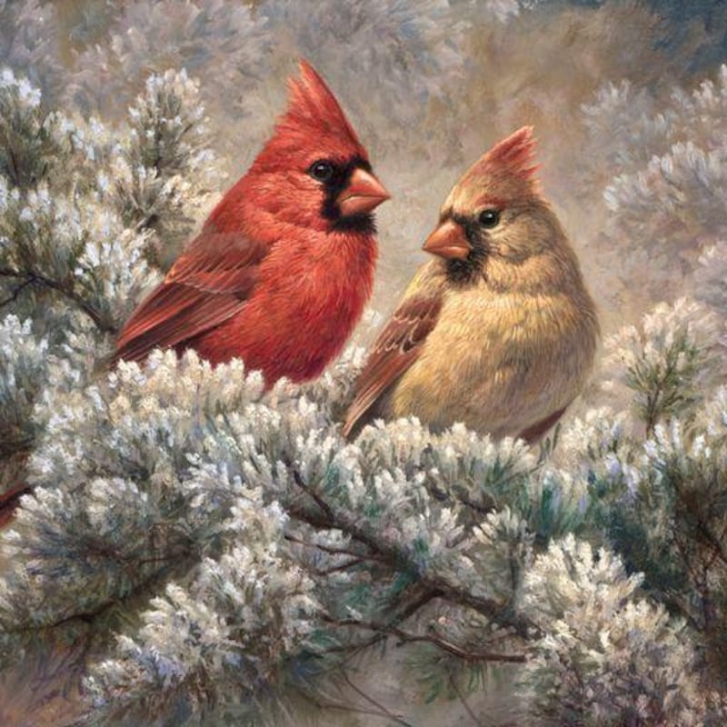 Cardinal Fabric - Etsy Canada