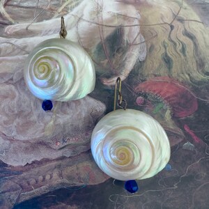 Vintage RARE Nautilus Shell Earrings Iridescent UPCYCLED Earrings ...