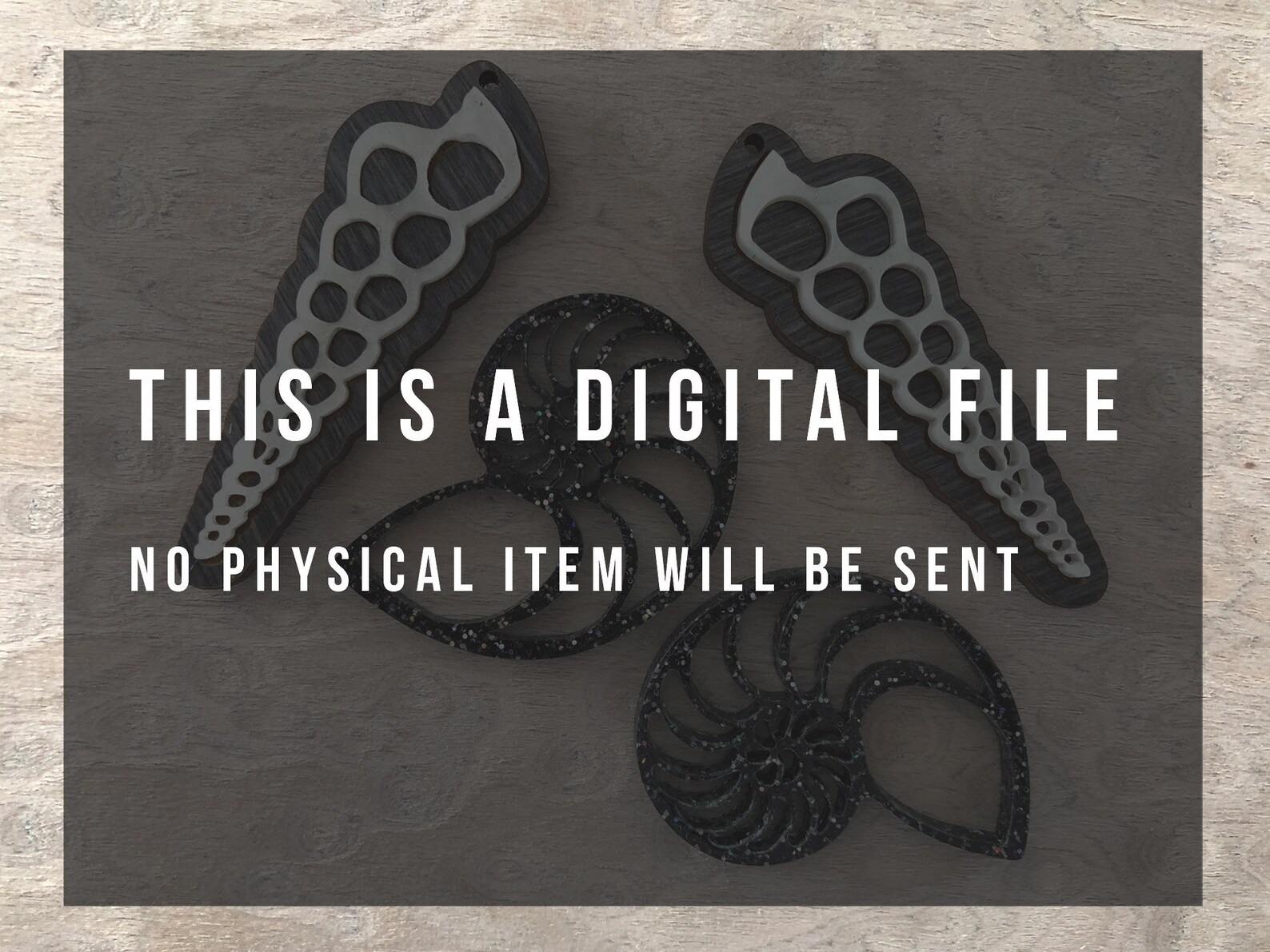 Shell Cross Section Laser Cut File Digital File Great for - Etsy